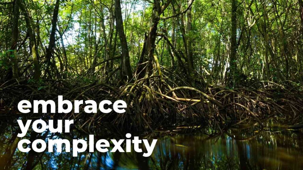 Embrace your Complexity - Selfmastery